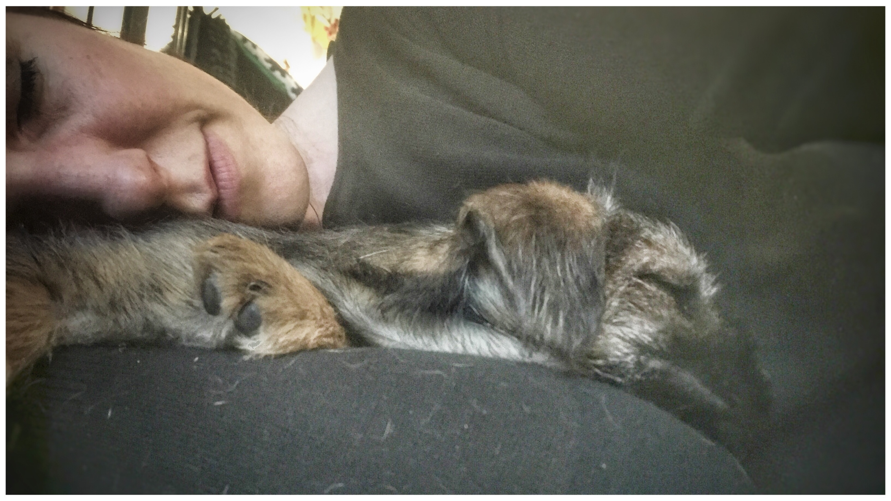 Repos… – L'épopée de Gaby et Poppy